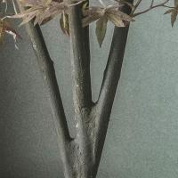 China Artificial Potted Landscaping Maple Tree  Garden Ornaments for sale
