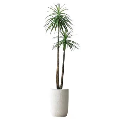 中国 ハンドメイドの150cm人工的なDracaenaのフロスト抵抗の反老化 販売のため