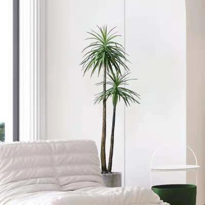 China Resistencia a hielo el 150cm artificial hecha a mano del Dracaena antienvejecedora en venta