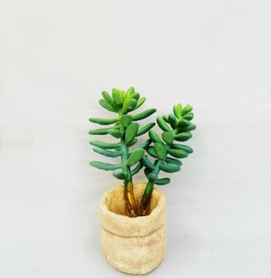 China Decoração bonita da mesa de escritório da planta suculento artificial do verde do OEM à venda