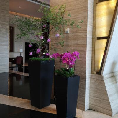 Cina fiore porpora artificiale di 45cm per la decorazione del Ministero degli Interni dell'hotel in vendita