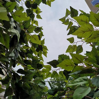 Китай Изготовленные на заказ искусственные благоустраивая орнаменты сада березы бонзаев дерева продается