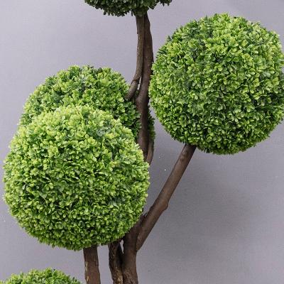 Cina bonsai conservati in vaso di plastica dell'interno simulati sferici del legno di bosso falso della pianta di 180Cm in vendita