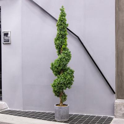 Cina bonsai conservati in vaso di plastica dell'interno simulati sferici del legno di bosso falso della pianta di 180Cm in vendita