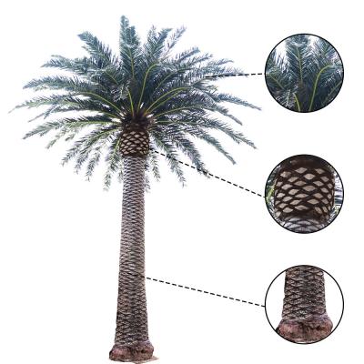 China Höhen-UV-Beständigkeit der Dattelpalme-Garten-künstliche Landschaftsbaum-2000cm zu verkaufen
