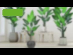Faux Traveller‘s Palm Tree (birds of paradise palm) - 180cm/200cm Realistic PE Leaf Artificial Pl