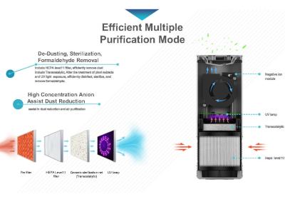 Cina Porta USB effettuata in due modi di Mini Ozone Ionic Air Purifier 5W dell'ABS in vendita