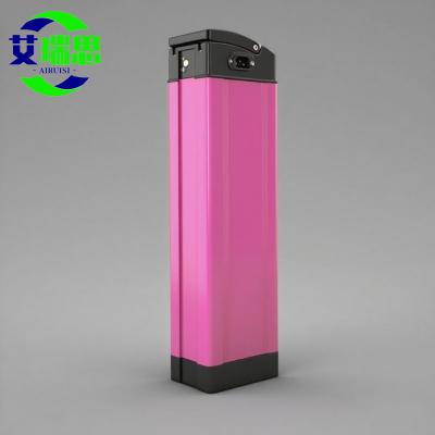 China Silver Fish 1000w E-bike Lithium Ion Battery 24v 36V 48V 10Ah 13Ah 15Ah 17Ah 20Ah 25Ah 28Ah Silver Fish Electric Bicycle Battery for sale