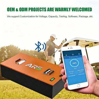 China 48V 10Ah 11Ah 15Ah Lithium-ion Battery Pack With BMS For 1000W-8000W for sale