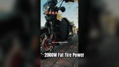 2000W Electric Scooter Fat Tire Powerhouse