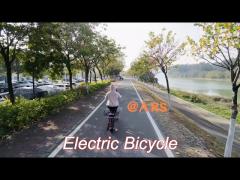 electric mountain bike 16 inch fat tire foldable e bike 1000w motor 48v20ah lithium battery electric