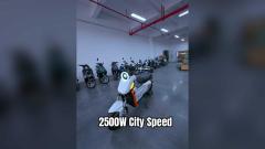 2500W Electric Scooter Bike City Speed Fat Tire