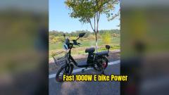 Fast 1000W E-bike Cargo Bike Urban Commute