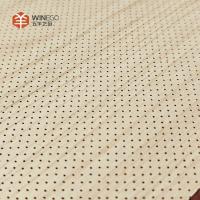 China Customizable Micro Perforated Acoustic Panels For Versatile Installations for sale
