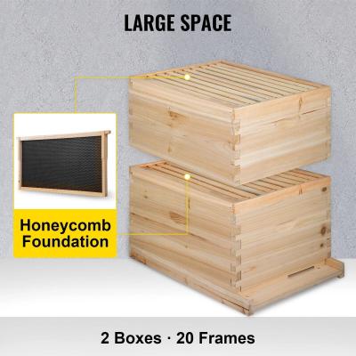 China 8 colmeia completa Kit Beeswax Coated do quadro do quadro 10 2 camadas à venda