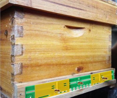 Cina Sfiato di plastica del portone delle attrezzature dell'arnia dell'alveare con il doppio scivolamento in vendita