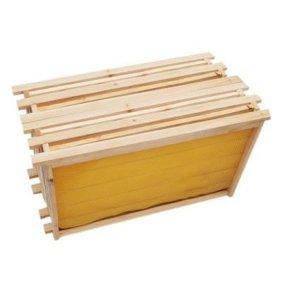 Cina Cedar Wood Bee Hive Foundation incornicia per l'OEM di Tesoro Agricoltura dell'arnia in vendita