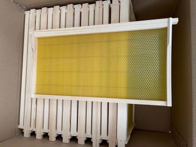 Cina Cedar Wood Bee Hive Foundation incornicia per l'OEM di Tesoro Agricoltura dell'arnia in vendita