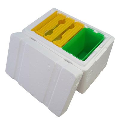 Cina Alveare accoppiamento migliorato di apicoltura della scatola dell'alimentatore di 3 strutture ape di plastica della schiuma della mini in vendita