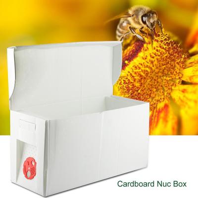 Cina Strumenti crescere pieganti di plastica di apicoltura della scatola di re Bee Mating Pollination dell'ape degli alveari in vendita