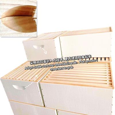 China 7 de Kaders Plastic Houten Honey Bee Frames For Nest Honey Beekeeping van de kadersbijenkorf Te koop