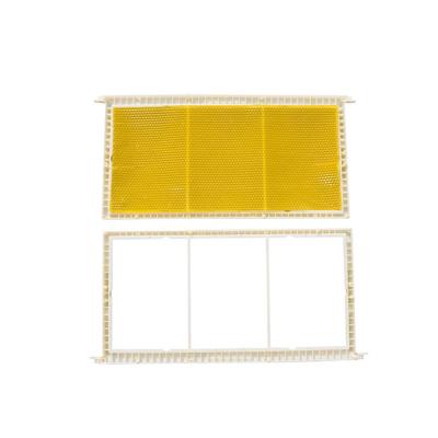 China A apicultura utiliza ferramentas do quadro plástico do ninho do quadro do favo de mel do quadro de caixa do favo de mel produtos instantâneos da abelha da fundação do ninho do favo de mel à venda