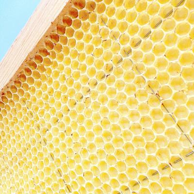 Cina Fondamento d'elaborazione naturale del nido intensificato cera d'api del favo dell'ape con lo strumento dell'alveare della struttura di legno in vendita