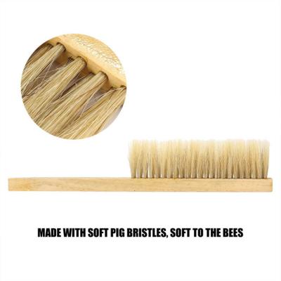 Cina Maniglia di plastica Tesoro Bee Brush Soft Bristles per spazzare dell'alveare in vendita