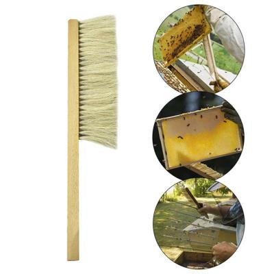 Cina Maniglia di plastica Tesoro Bee Brush Soft Bristles per spazzare dell'alveare in vendita