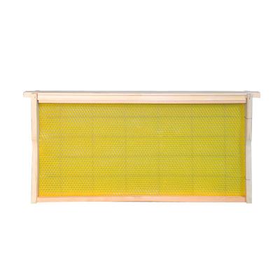 China Traditionele Imkerij Honey Bee Frames With Foundation 48.3cm×44.8cm×23.2cm Te koop