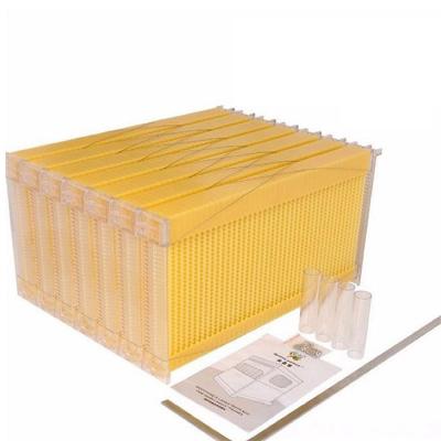 Cina Strutture automatiche materiali dell'alveare di flusso dell'ABS per Tesoro Bee Agricoltura in vendita