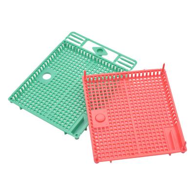 Cina Gabbia di plastica dell'introduzione dell'ape regina variopinta per apicoltura dell'alveare in vendita