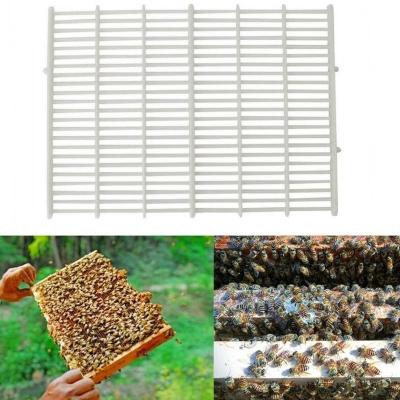 Cina Plastic Apiary Equipments Partition Grid Beehive Queen Excluder in vendita