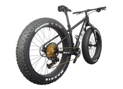 Cina bici grasse della neve MTB della gomma dei mountain bike pieni del carbonio 12Speed a 26 pollici in vendita
