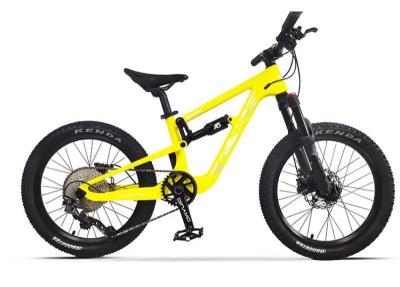 Cina 20 bambini vanno in bicicletta la struttura completa del mountain bike di Hardtail della sospensione delle strutture del carbonio in vendita