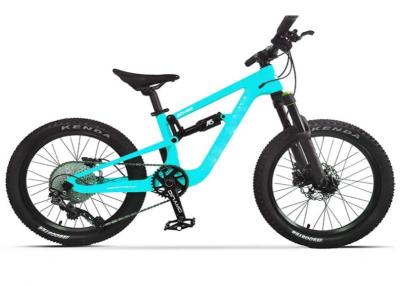 Cina Le bici 20er della sospensione del carbonio ENV di tecnologia MTB dei bambini pieni della montagna in vendita