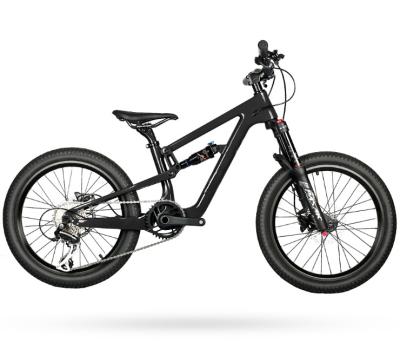 Cina Le bici 20er della sospensione del carbonio ENV di tecnologia MTB dei bambini pieni della montagna in vendita