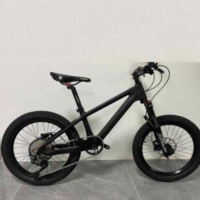 Cina insieme del gruppo di Shimano del mountain bike dei bambini pieni del carbonio della bici di sport dei bambini 12er in vendita