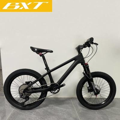 Cina insieme del gruppo di Shimano del mountain bike dei bambini pieni del carbonio della bici di sport dei bambini 12er in vendita