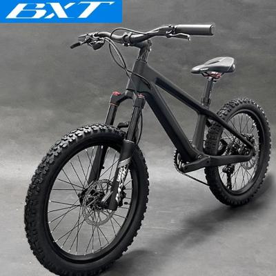 Cina 20er bambini mountain bike freno a disco Shimano 10 velocità bicicletta per bambini in vendita