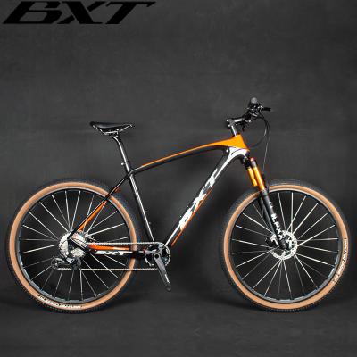 Cina Full Carbon Complete Mountain Bikes Disc Brake 29er Shimano Group 11 Speed in vendita