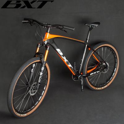 Cina Full Carbon Complete Mountain Bikes Disc Brake 29er Shimano Group 11 Speed in vendita