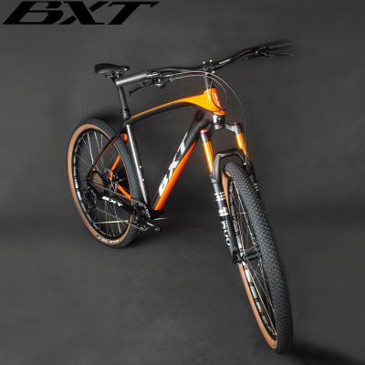 Cina Full Carbon Complete Mountain Bikes Disc Brake 29er Shimano Group 11 Speed in vendita