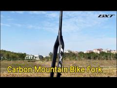 Thru Axle Carbon Mountain Bike Fork 29er 300mm Length Gloss / Matte