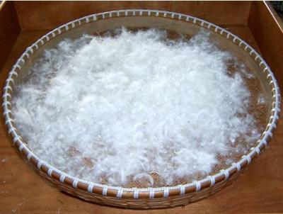 China Washed White/Grey Duck/Goose Down with good quality for sale