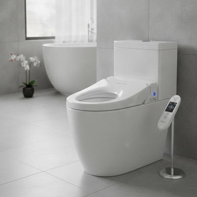 China Automatic Self Cleaning Nozzle Bathroom Smart Toilet Remote Control And Side Panel For Smart Toilet Experience for sale