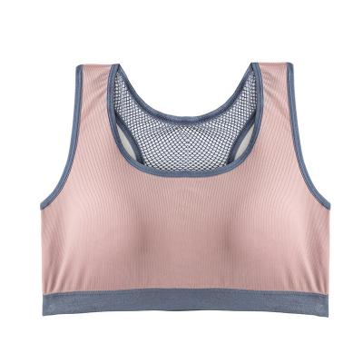 China Running Yoga Sports Fitness Shockproof Quick-Drying Vest Back Mesh Breathable Bra Polyester Sports Bra for sale