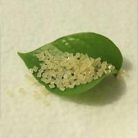 China Antistatic Agent Distilled Monoglyceride For Functional Masterbatch for sale