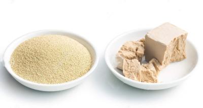 China E471 Food Emulsifier GMS 50% Monoglyceride for cake, bread, confectionery for sale