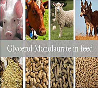 China Feed Additives : Glycerol Monolaurate GML80 Powder for Animal for sale